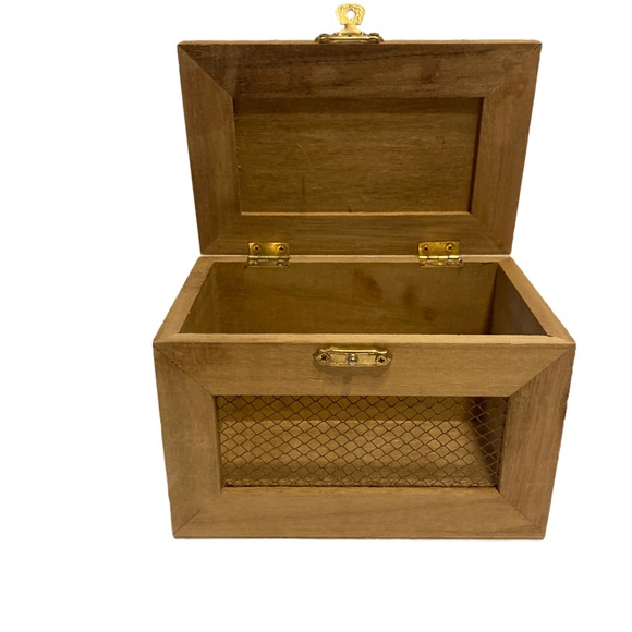 Storage & Organization | Neat Hinged Wooden Box With See Through Cage ...